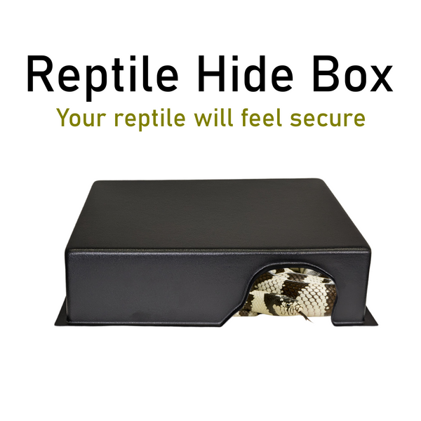 Kages Formed ABS Reptile Hide Box – Reptile Kages